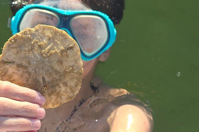 2 Hour Snorkeling and Dolphin Tour - Final Thoughts