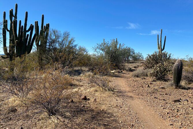 2 Hour Sonoran Desert Private Guided Mountain Bike Tour - From Novice to Experienced: Who Will Love This Tour?