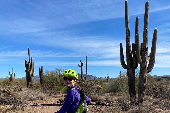 2 Hour Sonoran Desert Private Guided Mountain Bike Tour - The Sum Up: Why This Tour Is a Solid Choice