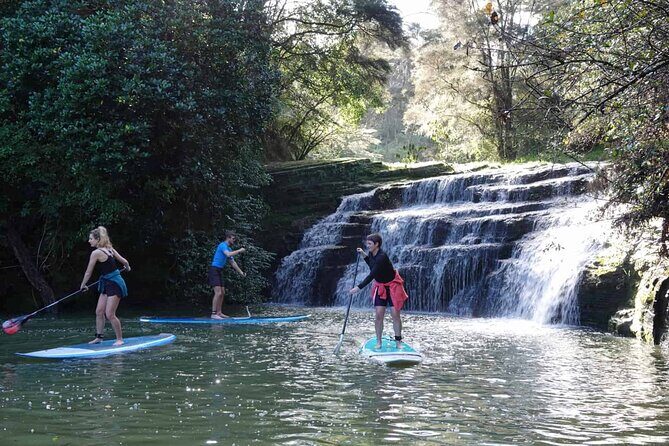 2-Hour Stand-Up Paddle Boarding Tour to Lucas Creek Waterfall - What Is the Tour All About?