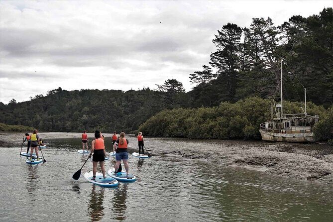 2-Hour Stand-Up Paddle Boarding Tour to Lucas Creek Waterfall - Authentic Feedback and Expectations
