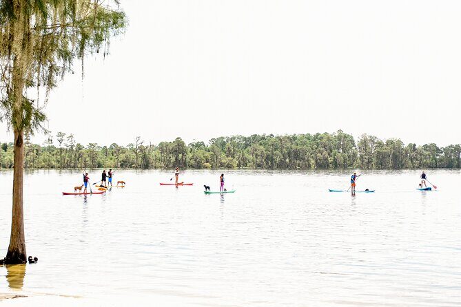 2-Hour Stand Up Paddleboard Rental from Lake Buena Vista Area - FAQ