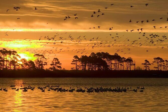 2-Hour Sunset Pontoon Boat Rental in Chincoteague Island, VA - The Practicalities: Price and Booking