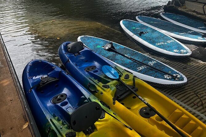 2 hour tandem kayak rental at our private launch area in Hale'iwa - Who Should Consider This Experience?