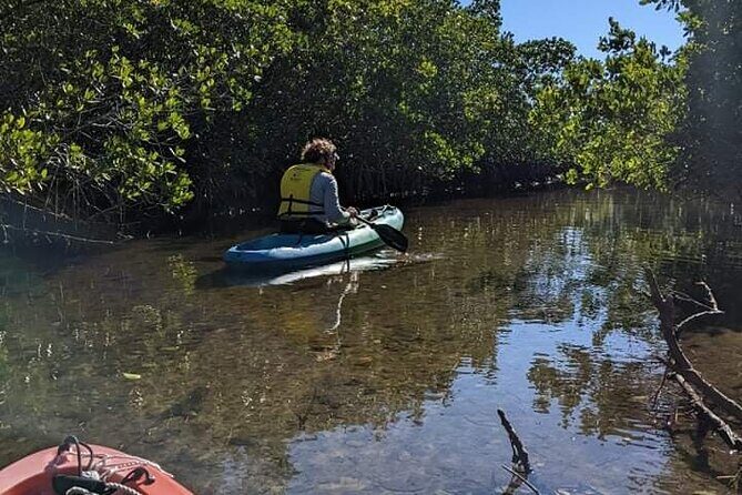 2 Hour Tandem Kayak Tour (Price for 2 People) - An In-Depth Look at the Tour Experience