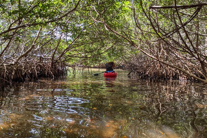 2 Hour Tandem Kayak Tour (Price for 2 People) - FAQ