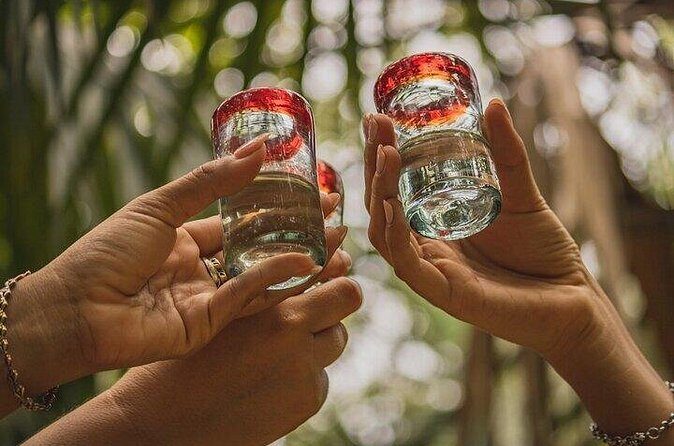 2 Hour Tequila Tasting Diego Riviera - Who should book this experience?