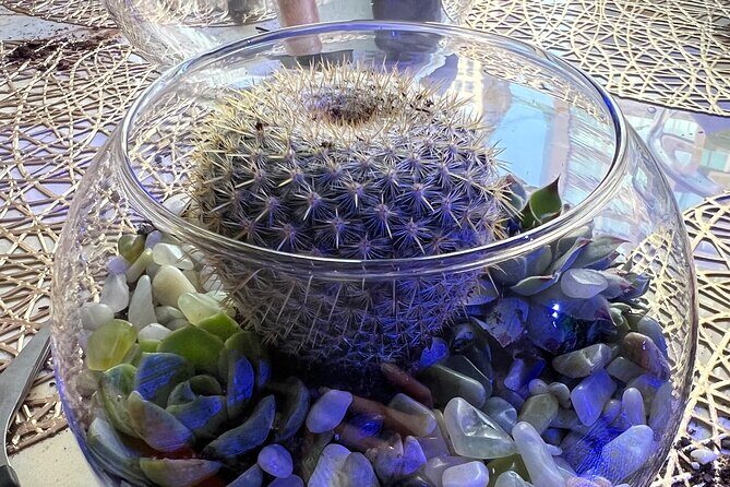 2-Hour Terrarium Making Experience with Cats in New York - Final Thoughts