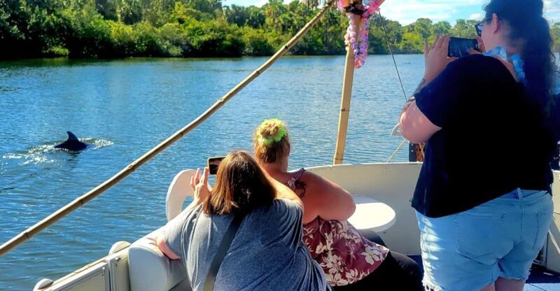 2 Hour Tiki Dolphin Sightseeing Tour in Cocoa Beach - Key Points