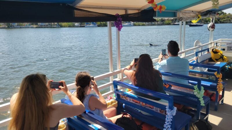 2 Hour Tiki Dolphin Sightseeing Tour in Cocoa Beach - The Realistic Expectations