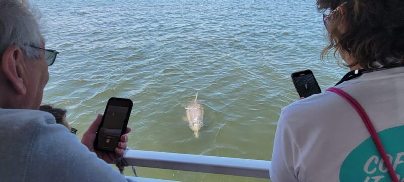 2 Hour Tiki Dolphin Sightseeing Tour in Cocoa Beach - Final Thoughts