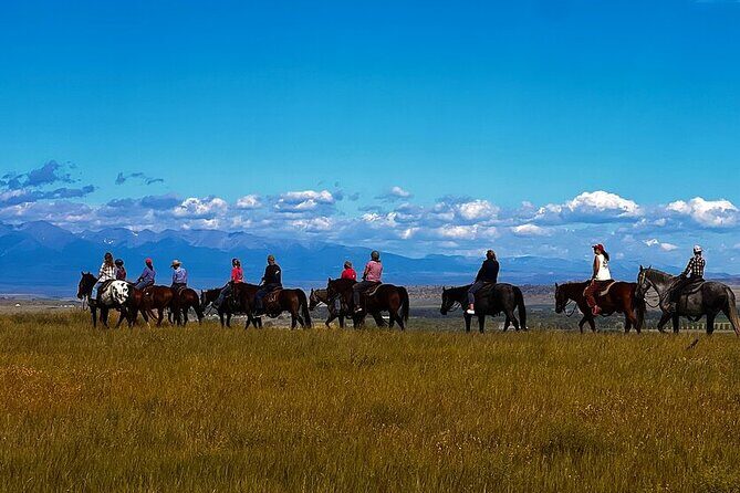 2 Hour Trail Ride in Montana Ranch Country - An In-Depth Look at the Montana Trail Ride Experience