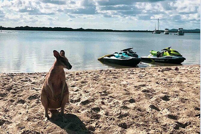 2 Hour Tropical Island Jet Ski Tour - The Sum Up