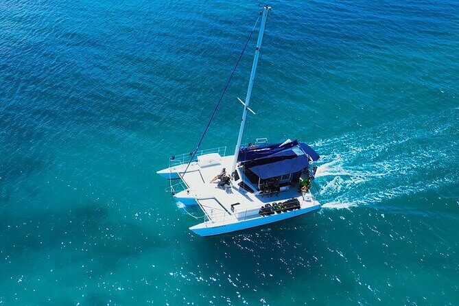 2 Hour Waikiki Whale Watching in Honolulu - The Guarantee & Its Meaning