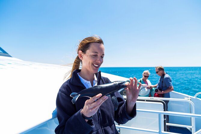 2 Hour Whale-Watching Cruise from Hillarys Boat Harbour - The Real Deal: An In-Depth Look at the Tour