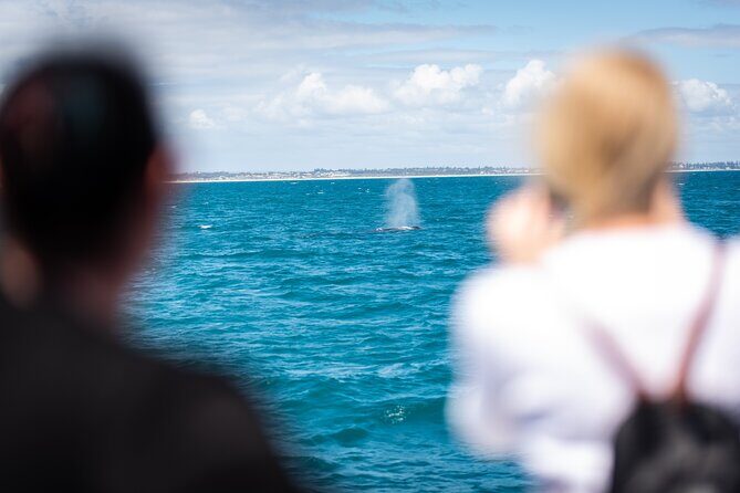 2 Hour Whale-Watching Cruise from Hillarys Boat Harbour - Frequently Asked Questions