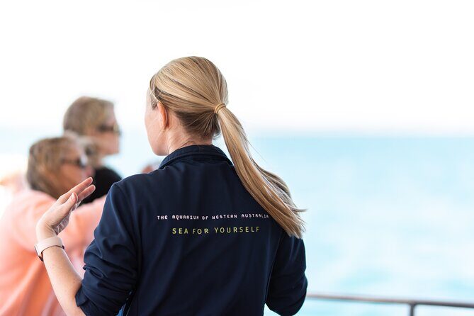 2 Hour Whale-Watching Cruise from Hillarys Boat Harbour - In Summary