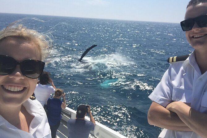2 hour whale watching experience departing Hillarys Boat Harbour - An In-Depth Look at the Experience