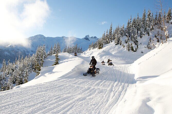 2 Hour Wilderness Adventure Snowmobile Tour in Whistler - Overview of the Whistler Snowmobile Experience