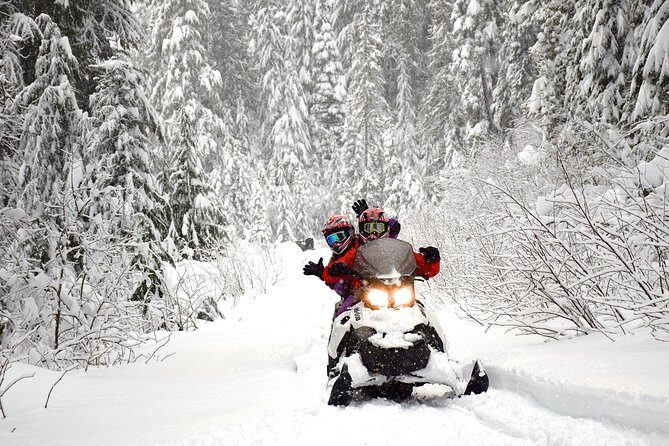2 Hour Wilderness Adventure Snowmobile Tour in Whistler - Pricing and Value Considerations