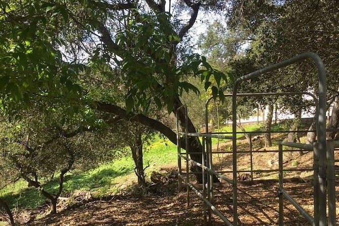 2 Hour Wildflower Horseback Trail Ride experience in Agoura Hills - Frequently Asked Questions (FAQs)