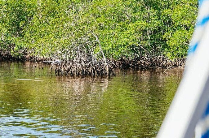 2 Hour Wildlife Adventure - Authenticity and What Travelers Say