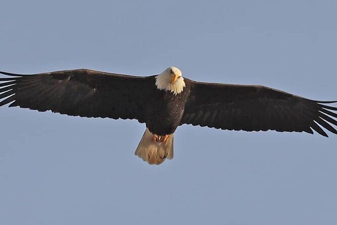 2-Hour Wildlife and Culture small van Excursion - An In-Depth Look at What to Expect on the Tour