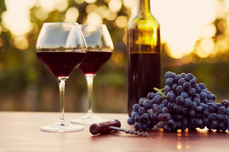 2-hours Amarone Wine Tour with Sommelier Wine Tastings - What We Love About the Amarone Wine Tour