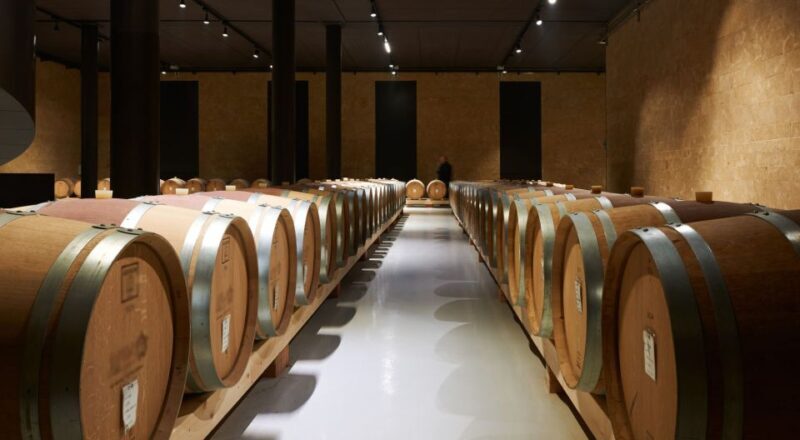 2-hours Amarone Wine Tour with Sommelier Wine Tastings - An Honest Look at the Itinerary
