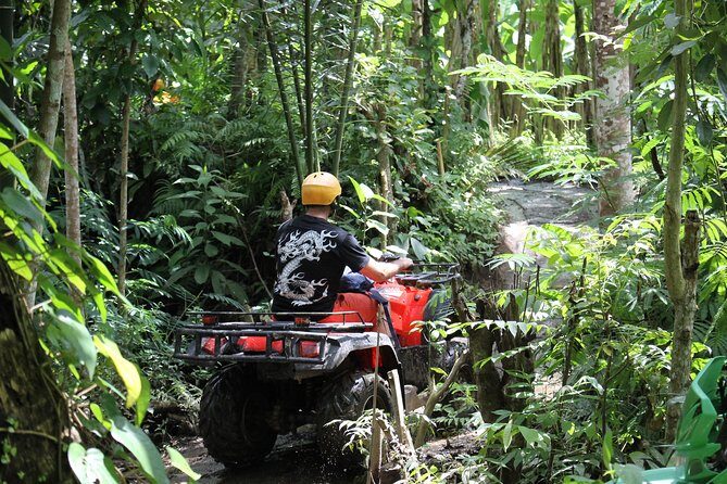 2 Hours Bali ATV Quad Tour - The Sum Up: Is This Tour Right for You?