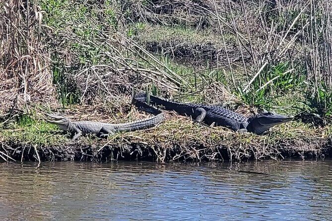 2 Hours Boat Tour in Louisiana Bayous Near New Orleans - Final Word