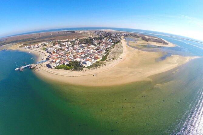 2 Hours Boat Tour in Ria Formosa - Who Will Enjoy This Tour?