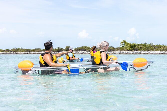 2 Hours Clear Kayaking Activity on Mangrove Cay - Why You’ll Love the Experience
