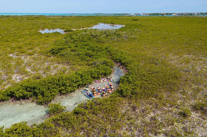 2 Hours Clear Kayaking Activity on Mangrove Cay - Authentic Traveler Perspectives