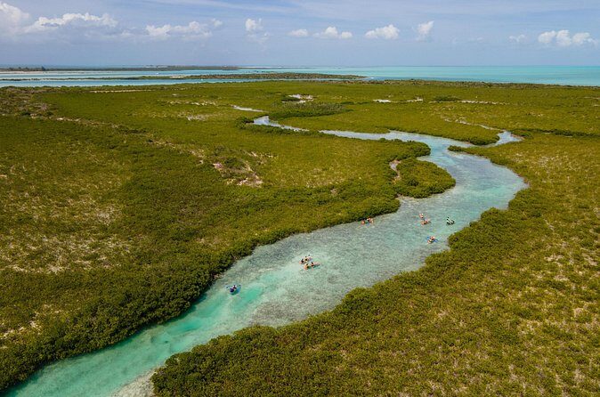 2 Hours Clear Kayaking Activity on Mangrove Cay - Who Should Consider This Tour?