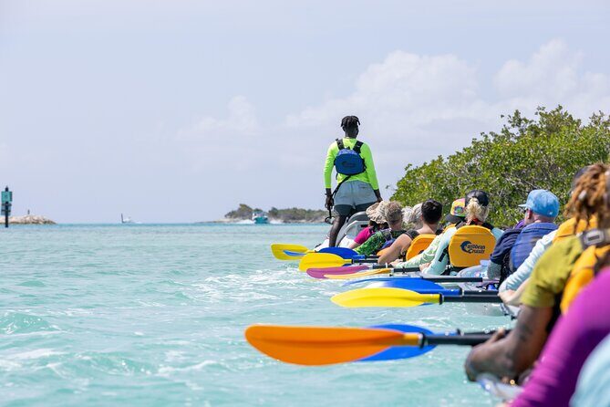 2 Hours Clear Kayaking Activity on Mangrove Cay - The Sum Up: Is This Tour Right for You?