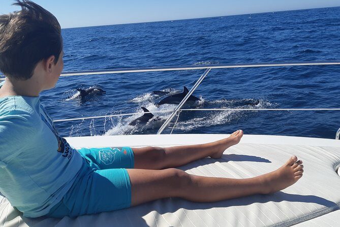 2 Hours Dolphin Watching in Marbella - An In-Depth Look at the Dolphin Watching Tour