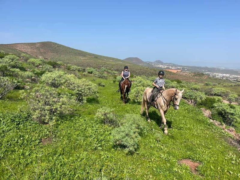 2 hours Green Mountains Horse Riding Tour - Why This Horseback Riding Tour Stands Out