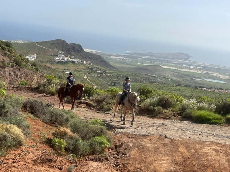 2 hours Green Mountains Horse Riding Tour - Value and Cost Considerations