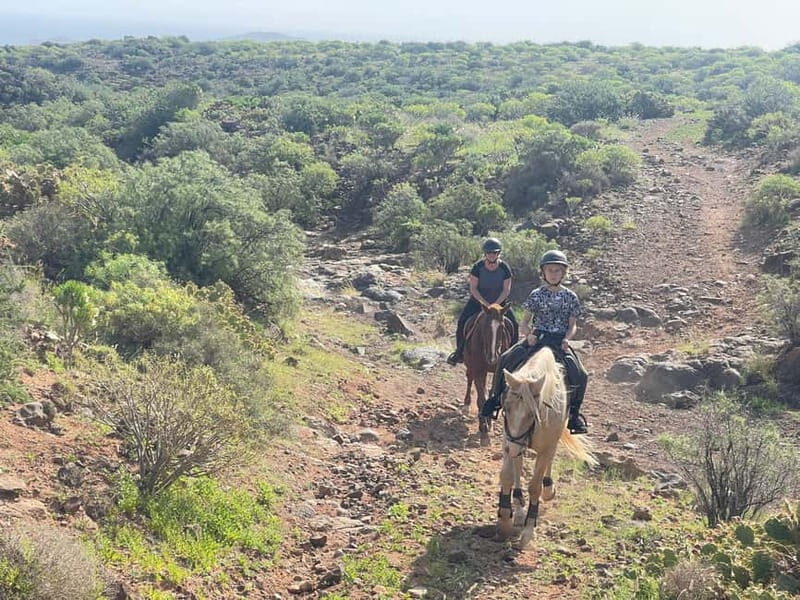 2 hours Green Mountains Horse Riding Tour - Frequently Asked Questions