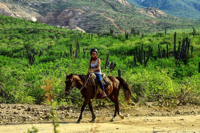 2 Hours Horseback Riding Adventure in Cabo - Overview of the Horseback Riding Tour in Cabo