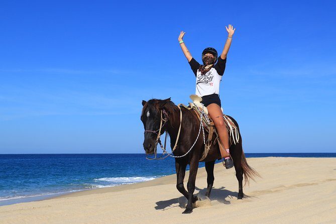 2 Hours Horseback Riding Adventure in Cabo - Transportation and Group Size