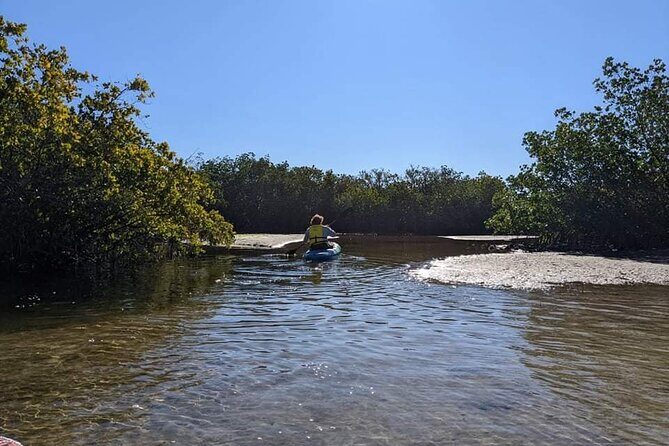 2 Hours Kayak Eco Tour in Tarpon Springs - An Honest Look at the 2-Hour Kayak Eco Tour in Tarpon Springs