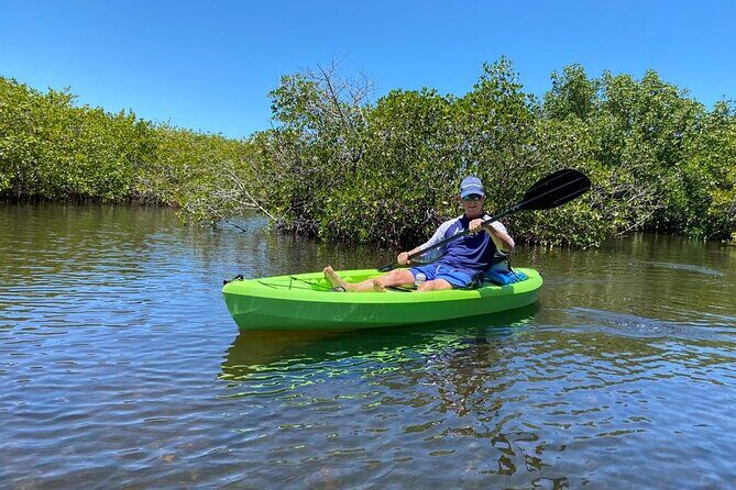 2 Hours Kayak Eco Tour in Tarpon Springs - Key Points