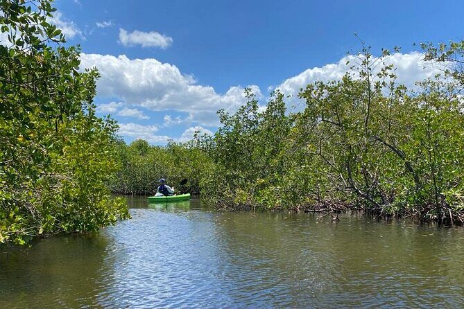2 Hours Kayak Eco Tour in Tarpon Springs - Authentic Experiences from Travelers