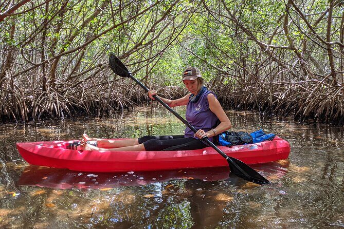 2 Hours Kayak Eco Tour in Tarpon Springs - Who Should Consider This Tour?