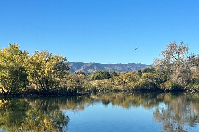 2 Hours of Mindful Bird Watching near Denver - The Testimonials: What Past Participants Say
