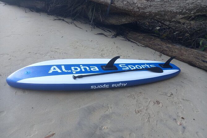 2 Hours Paddle Board Experience in Chaguaramas. Snorkeling also. - A Practical View of the 2-Hour Paddle Board and Snorkeling Experience in Chaguaramas