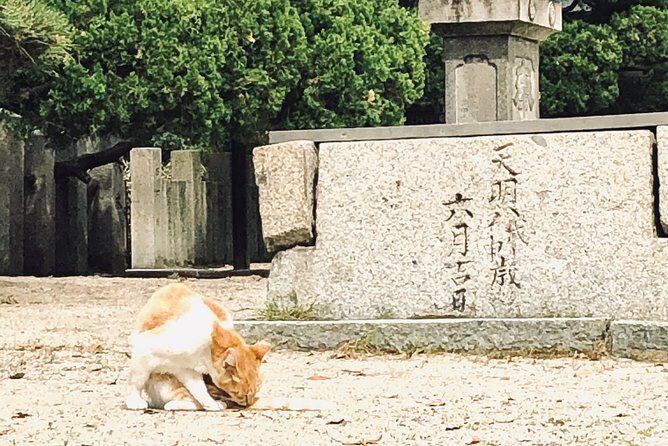 2 Hours Private Guided Walking Tour in Osaka - Why This Tour Offers Good Value