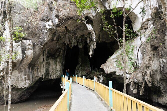 2 Hours Private Mangrove Tour Langkawi - An In-Depth Look at the Itinerary